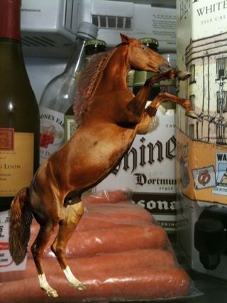 BOOM!! (That was my head exploding) | HORSE NATION