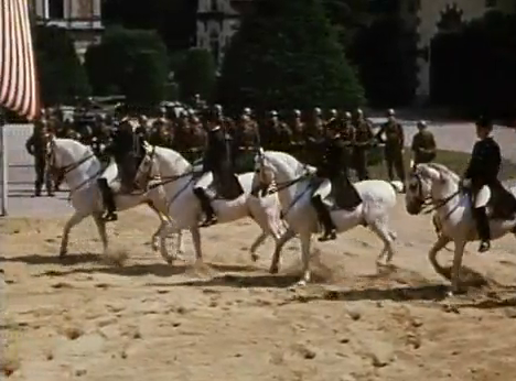 Movie Review: ‘Miracle of the White Stallions’ | HORSE NATION