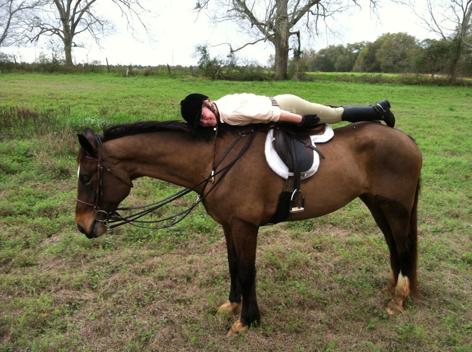 And the SmartPak Equine Planking Contest finalists are… | HORSE NATION