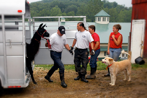 April Featured Rescue: Longmeadow Rescue Ranch | HORSE NATION