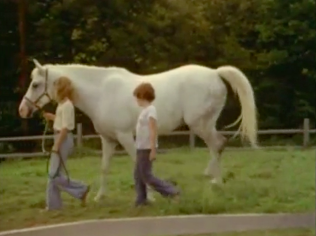 Friday Flicks: ‘Danny’ (1979) | HORSE NATION
