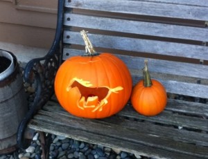 24 Impressive Horse Halloween Pumpkins | HORSE NATION
