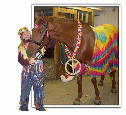 14 Horses That Voted for the Legalization of Marijuana | HORSE NATION