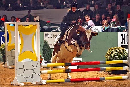 19 Animals With Perfect Jumping Form | HORSE NATION