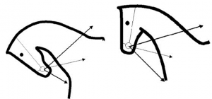 Fit to Ride: The truth about rollkur, part 1 | HORSE NATION