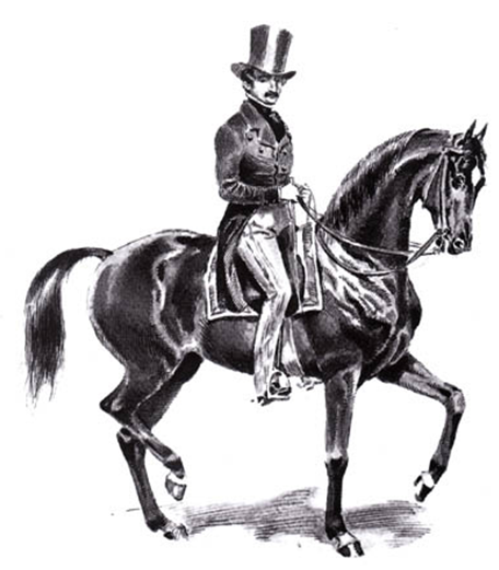 Fit to Ride: The truth about rollkur, part 1 | HORSE NATION