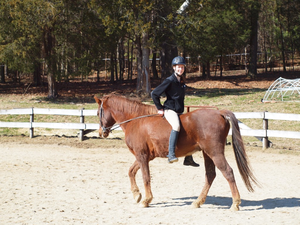 9 Riders Who Are Doin’ It Wrong | HORSE NATION