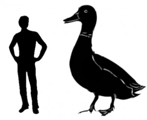 Let’s Discuss: Would you rather fight a horse-sized duck or 100 duck ...