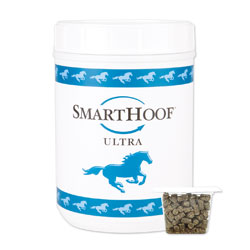 Monday Morning Feed from SmartPak | HORSE NATION