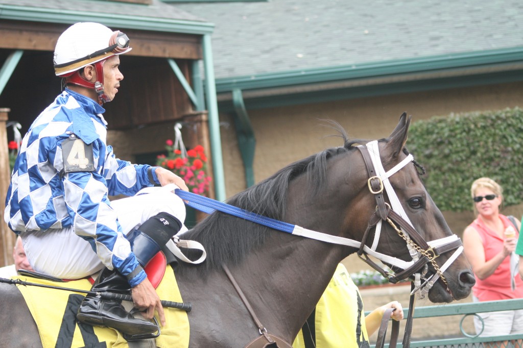 Your Turn: The story of Lynn’s Vision, part I | HORSE NATION