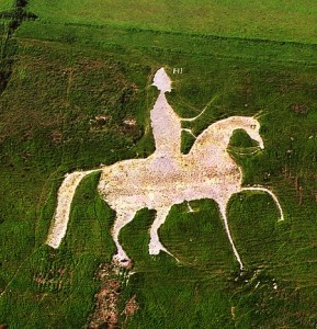 7 Giant Horses Best Viewed From Above | HORSE NATION