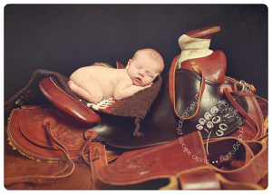 23 Newborn Babies On Saddles | HORSE NATION