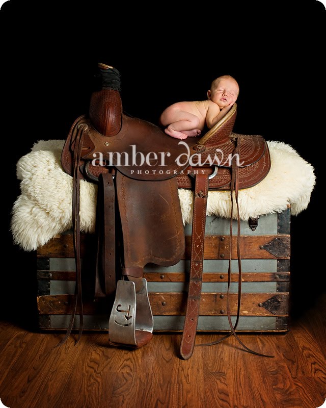 23 Newborn Babies On Saddles | HORSE NATION