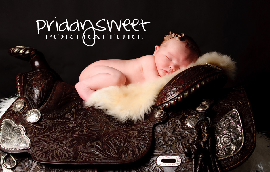 23 Newborn Babies On Saddles | HORSE NATION