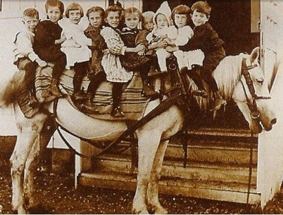 HN Investigates: How many children can you fit on a horse? | HORSE NATION