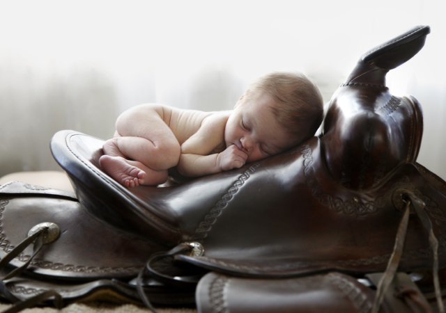 23 Newborn Babies On Saddles | HORSE NATION
