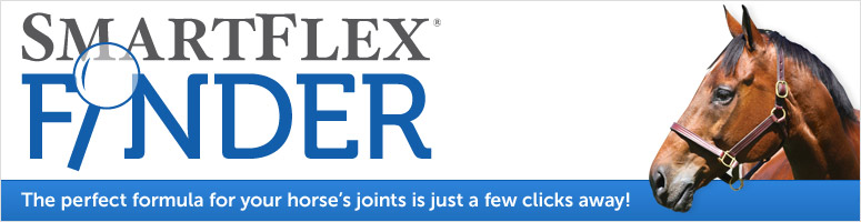 Monday Morning Feed from SmartPak | HORSE NATION