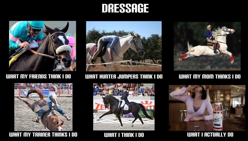 13 Dressage Funnies | HORSE NATION
