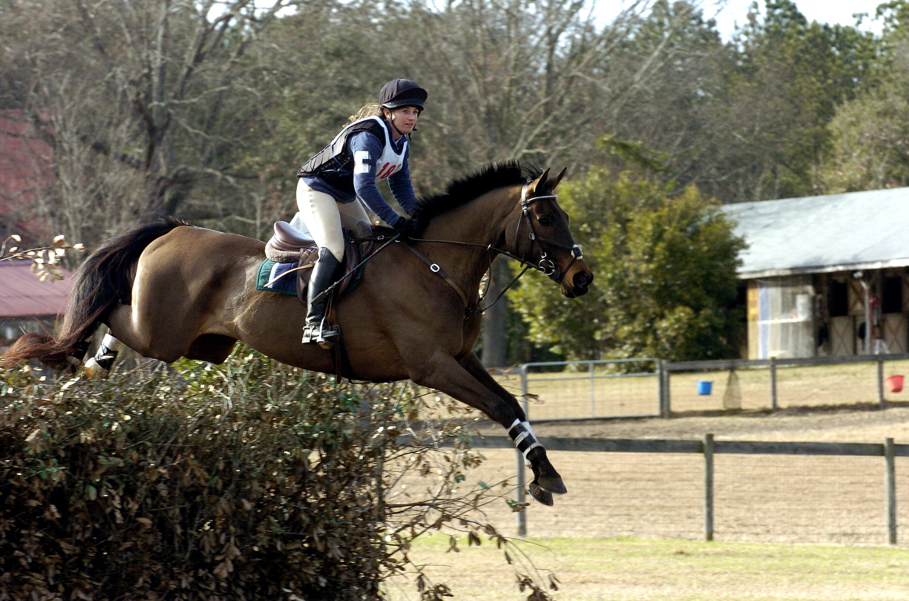 Wylie’s World: The panic button | HORSE NATION