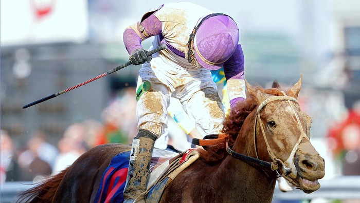 The 10 Best Fake Horse Racing Stories Ever Written | HORSE NATION