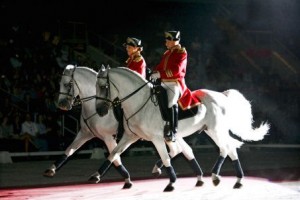 13 Stunning Moments of Equine Synchronicity | HORSE NATION