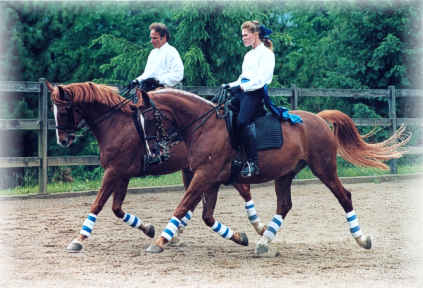 13 Stunning Moments of Equine Synchronicity | HORSE NATION