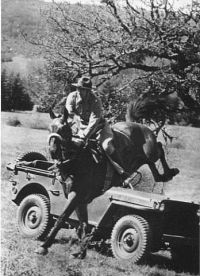 21 Cavalry Photos You Have to See to Believe | HORSE NATION