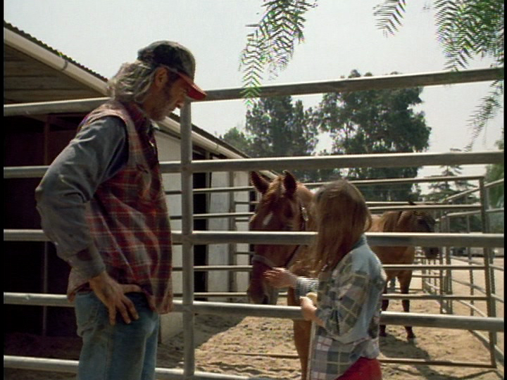 Friday Flicks: Redbox Triple Feature – ‘Saddle Up’ | HORSE NATION