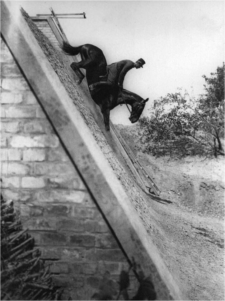 21 Cavalry Photos You Have to See to Believe | HORSE NATION