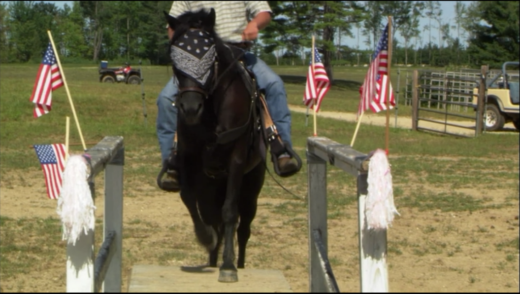 Friday Flicks: ‘Wild Horse Wild Ride’ (2011) | HORSE NATION