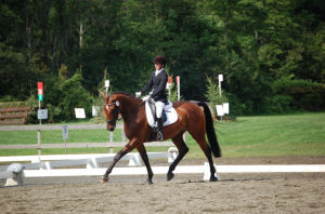 How To: Sit the trot | HORSE NATION