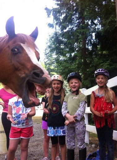 Your Turn: The 5 most awkward horses of the Internet | HORSE NATION