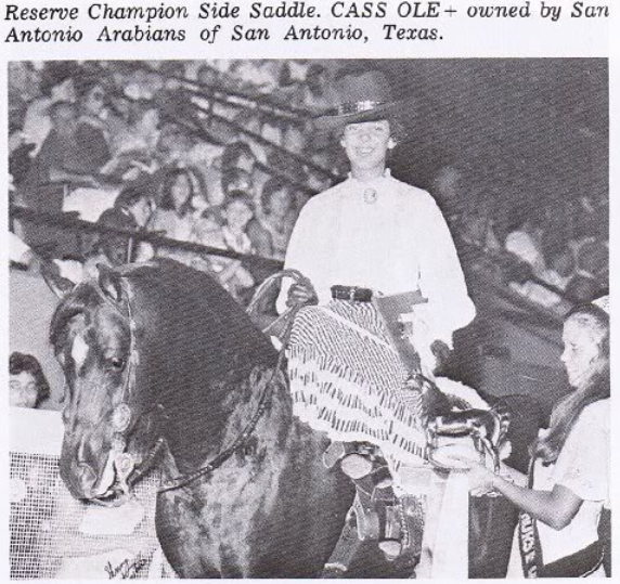 Meet Cass Ole, the Real ‘Black Stallion’ | HORSE NATION