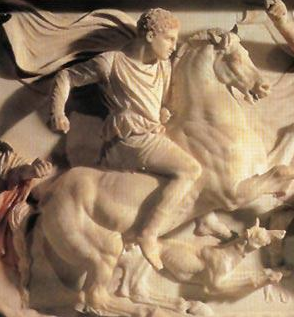 Remains of the Neigh: Ancient carriage horses buried standing up ...