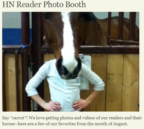 Your Turn: The 5 most awkward horses of the Internet | HORSE NATION