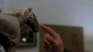 Lindsay Rausch: Early-onset symptoms of chronic horse-itis | HORSE NATION