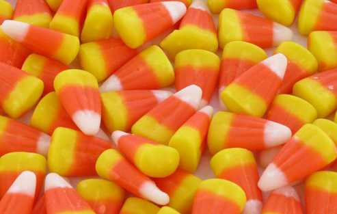 Trick or Colic?: Halloween candy & horses | HORSE NATION