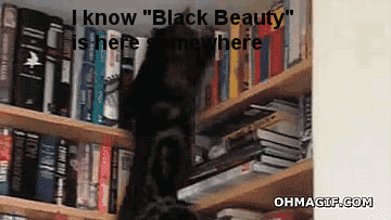 Lindsay Rausch: Early-onset symptoms of chronic horse-itis | HORSE NATION