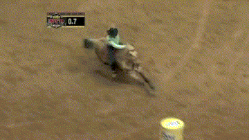 Lindsay Rausch: Early-onset symptoms of chronic horse-itis | HORSE NATION