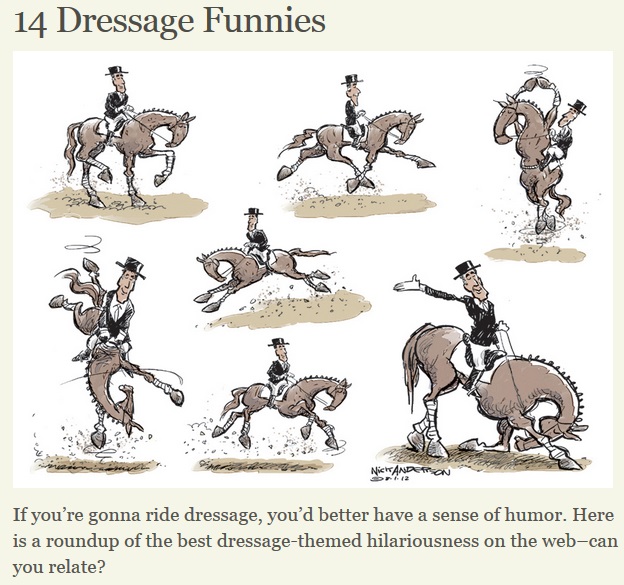 8 Movements That Aren’t in the New FEI Dressage tests, But Should Be ...