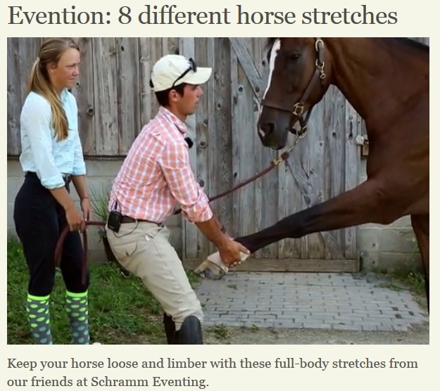Fit to Ride: How to lengthen your leg in the saddle | HORSE NATION