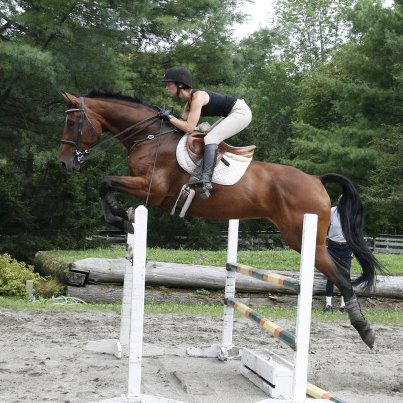 How to Find the Perfect Jumping Bit | HORSE NATION
