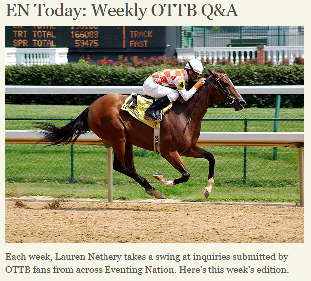 Racehorses on the Ranch | HORSE NATION