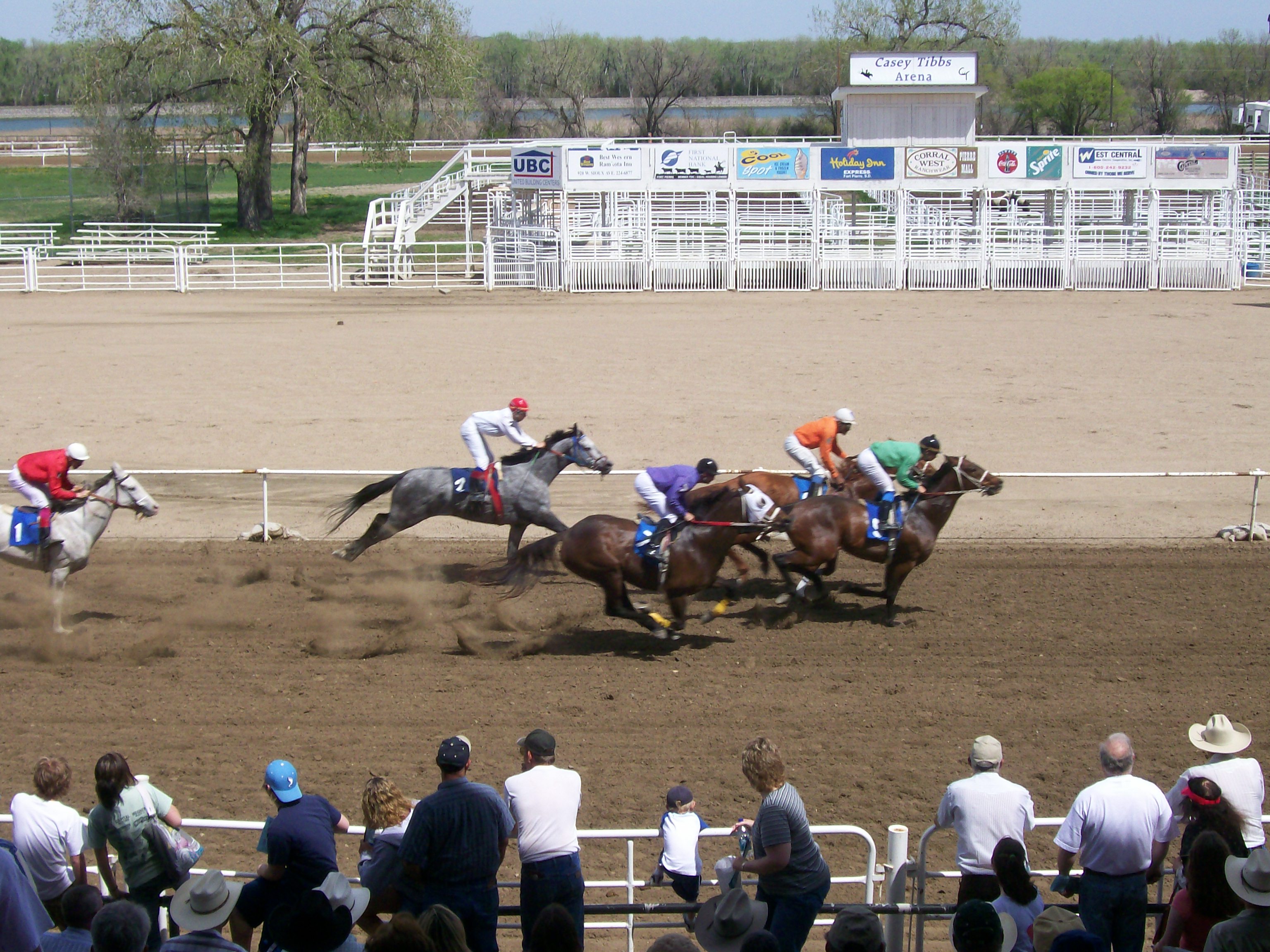 Bush Track Diaries: The rubber bit episode | HORSE NATION