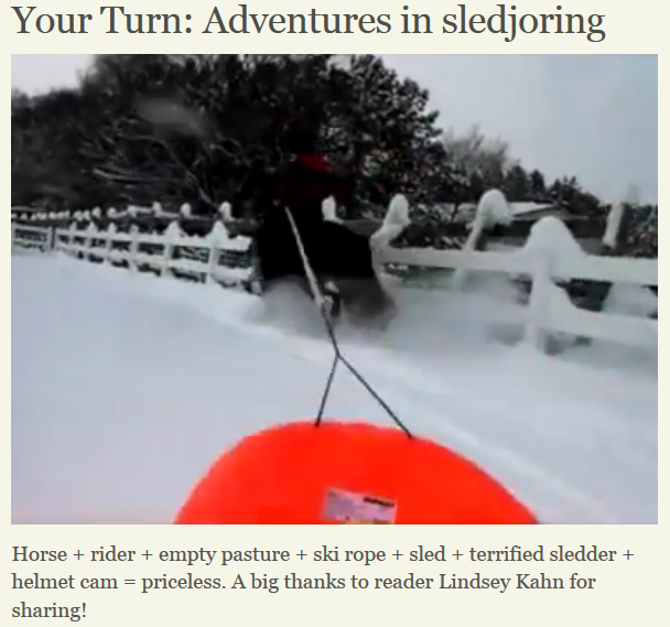 Your Turn: Sledding With Horses | HORSE NATION