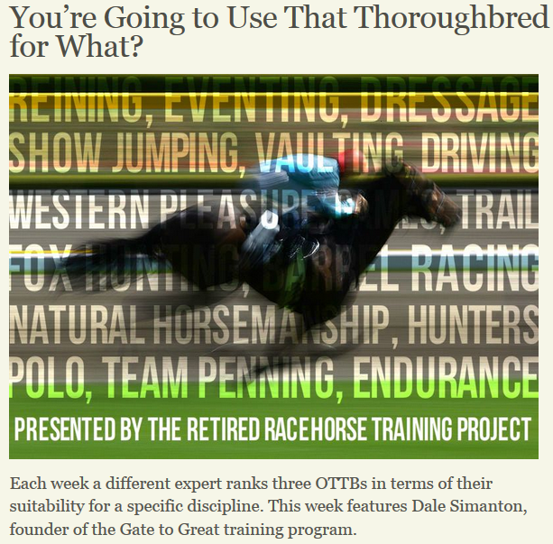 Your Turn: Why I Love OTTBs | HORSE NATION