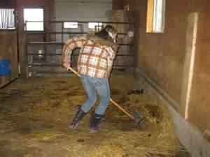 13 things you should expect when working with horses | HORSE NATION