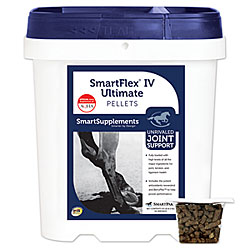 Monday Morning Feed from SmartPak | HORSE NATION