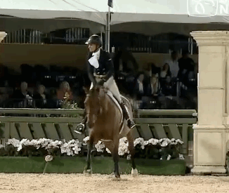 Victoria Colvin wins the $100,000 Peter Wetherill WCHR Palm Beach ...