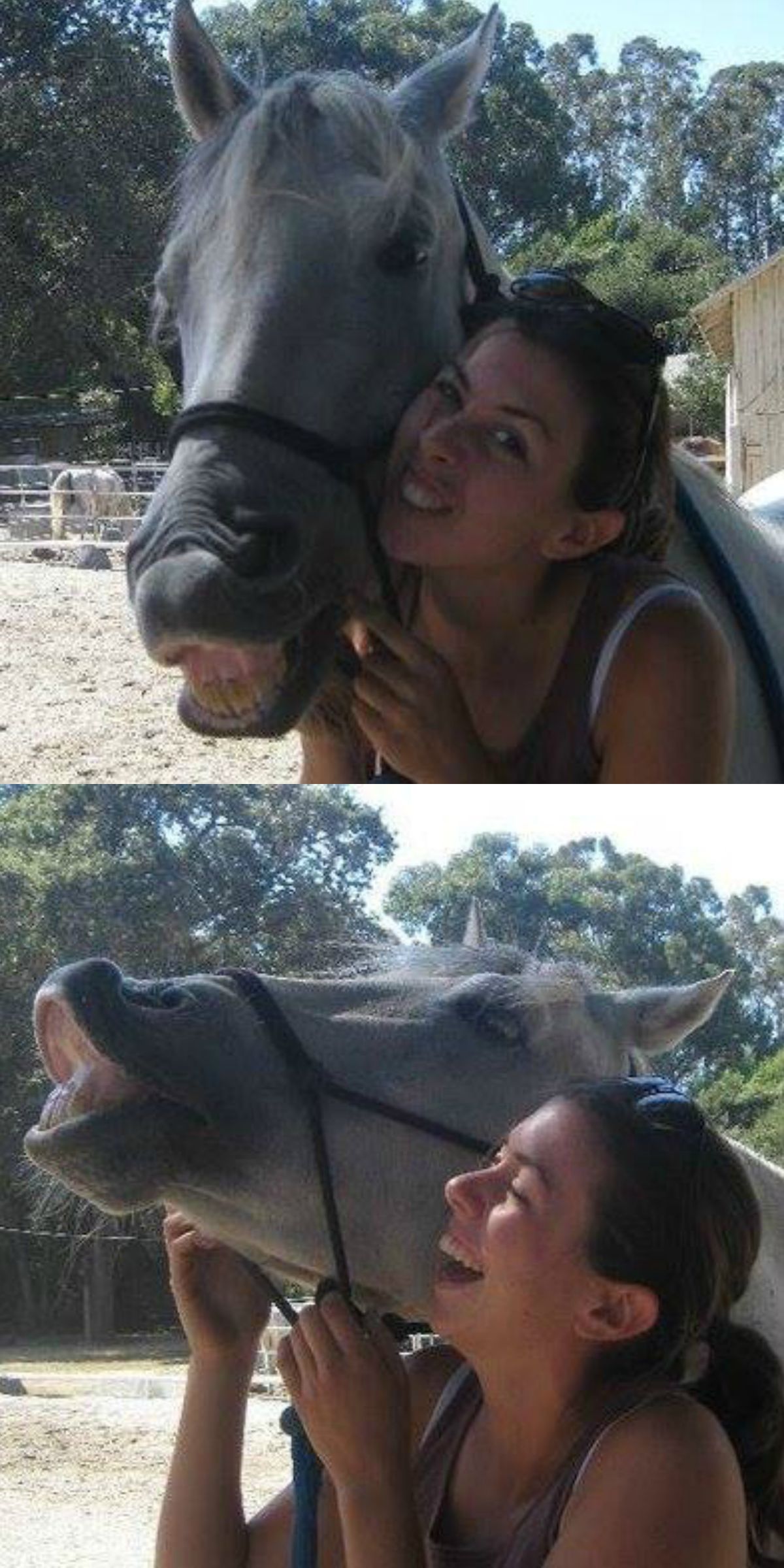 Smile For the Camera, Horse Nation! Reader Edition | HORSE NATION